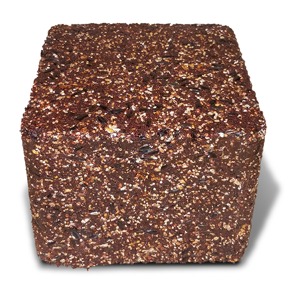 Birders | Return to Nature